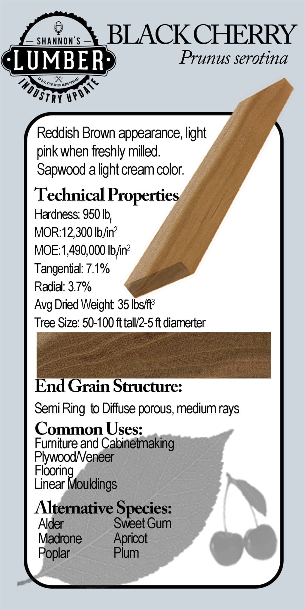 162 Driftwood | Shannon's Lumber Industry Update